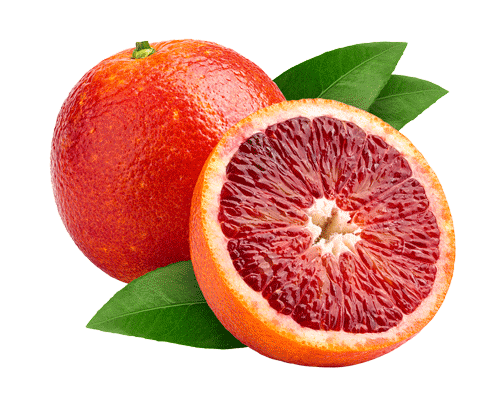 Earthshine Gardens – Let Earth's Bounty Be Yours